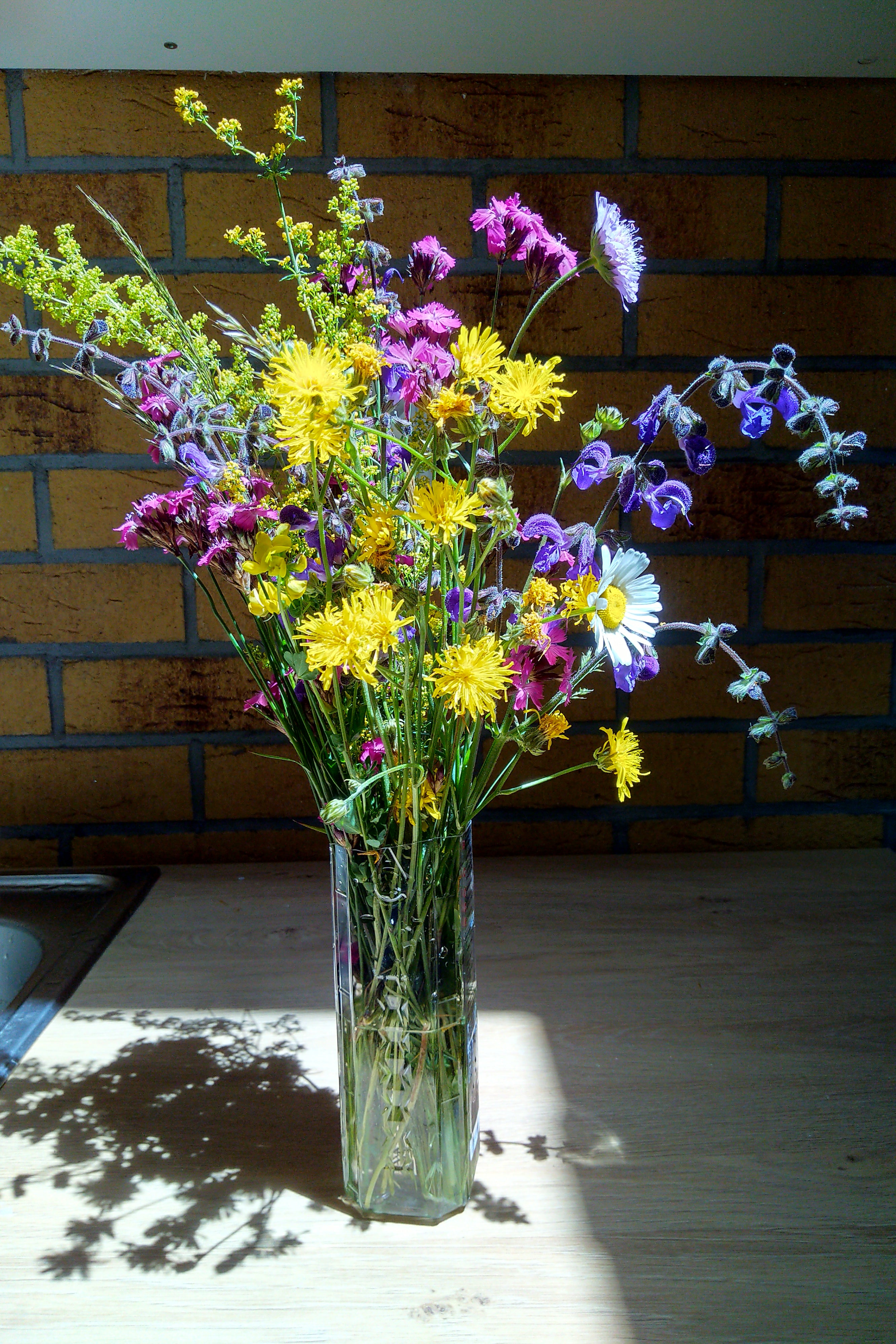 Flori – Copaci Ornamentali